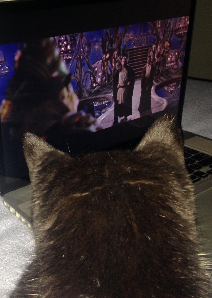 Bailey: “Mesa like dis.”* – 3rin's View…