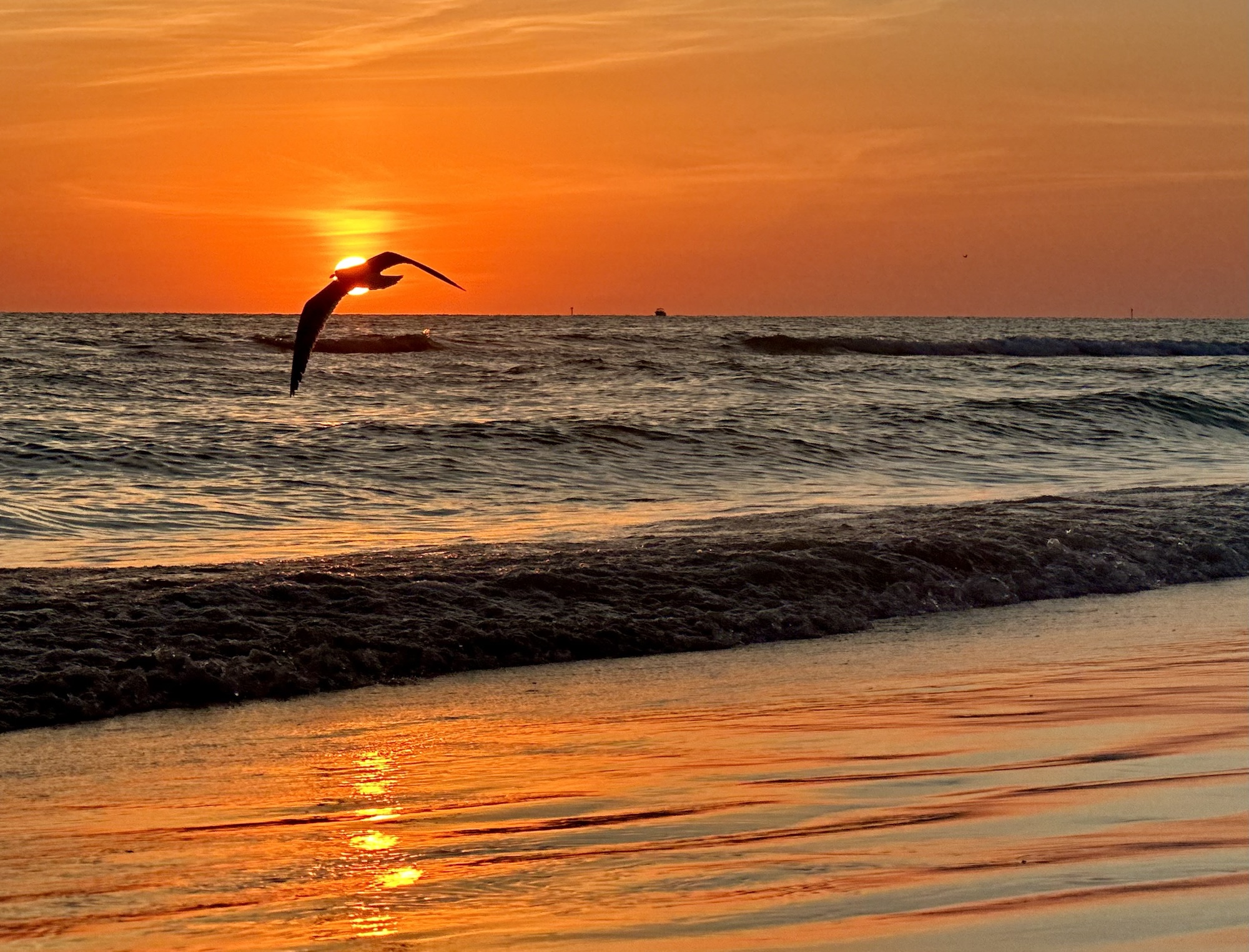 Flying Into the Weekend – 3rin's View…